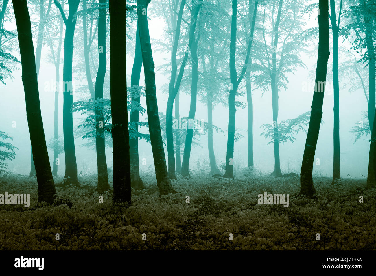 Blue fog hi-res stock photography and images - Alamy