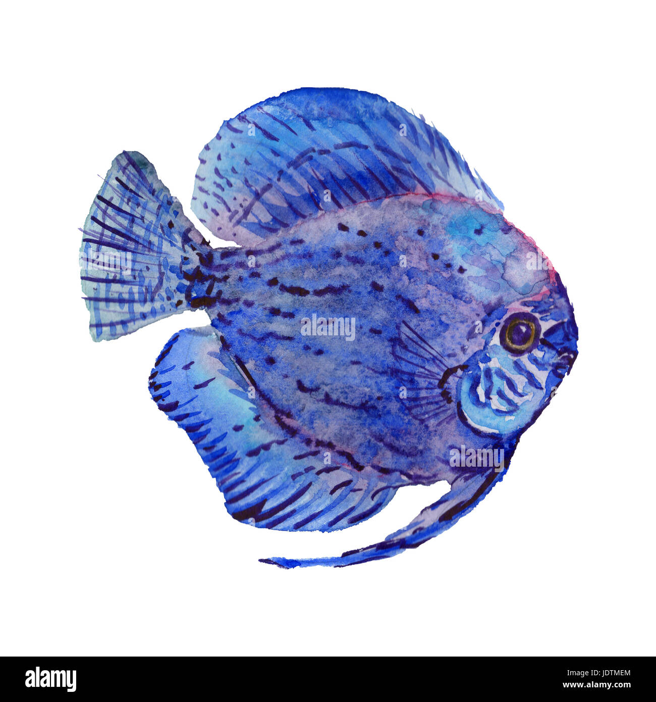 Watercolor aquatic underwater colorful tropical fish set. Red sea and ...