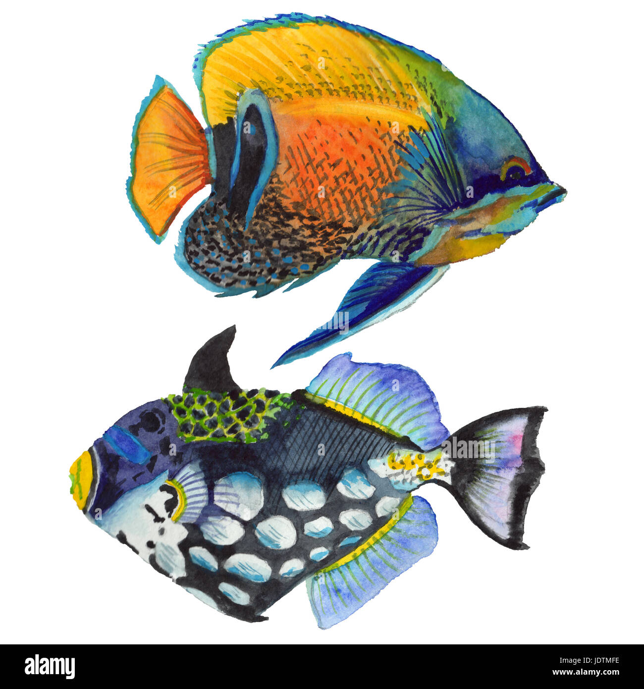 Watercolor aquatic underwater colorful tropical fish set. Red sea and ...
