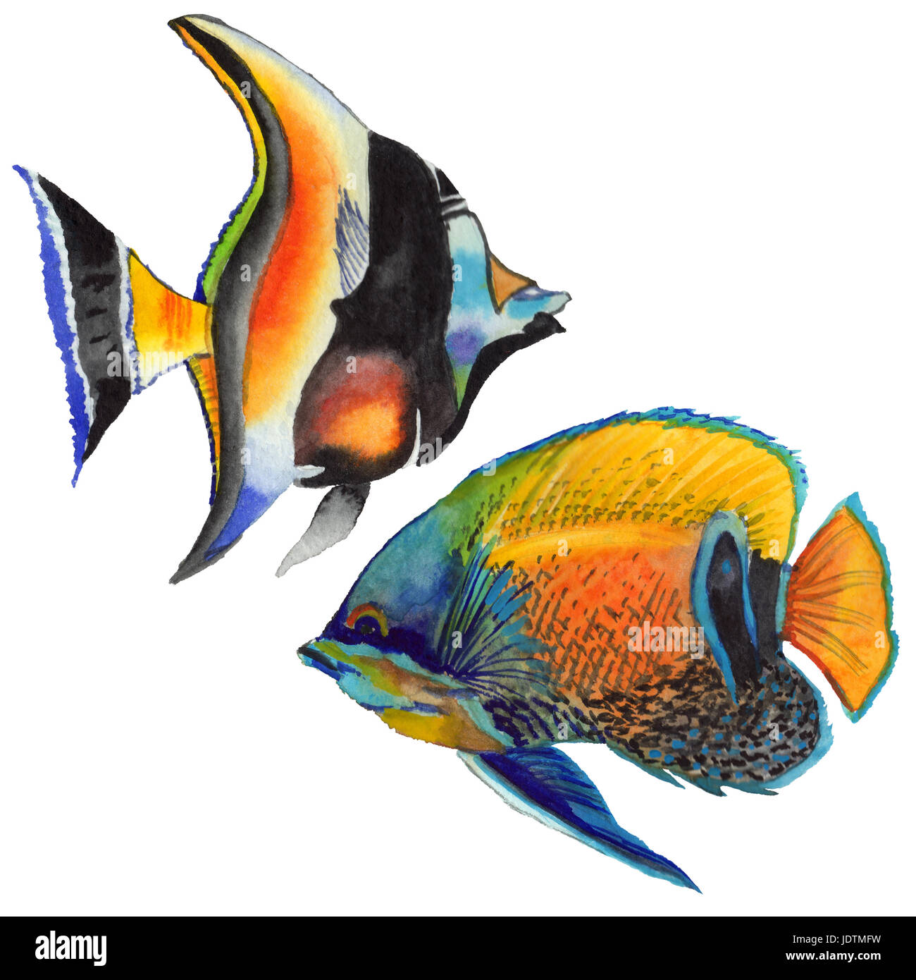 Watercolor aquatic underwater colorful tropical fish set. Red sea and ...