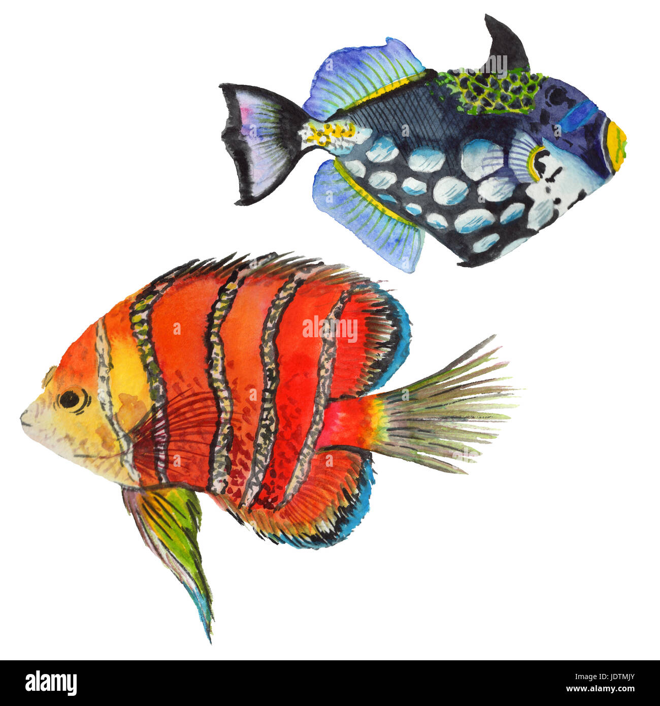 Watercolor aquatic underwater colorful tropical fish set. Red sea and ...
