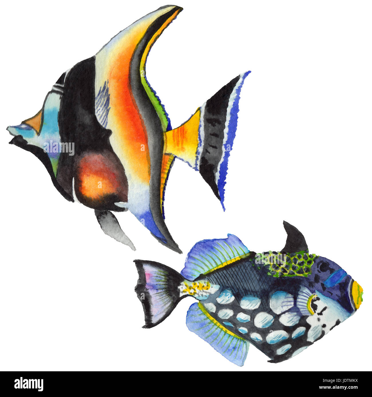 Watercolor aquatic underwater colorful tropical fish set. Red sea and ...