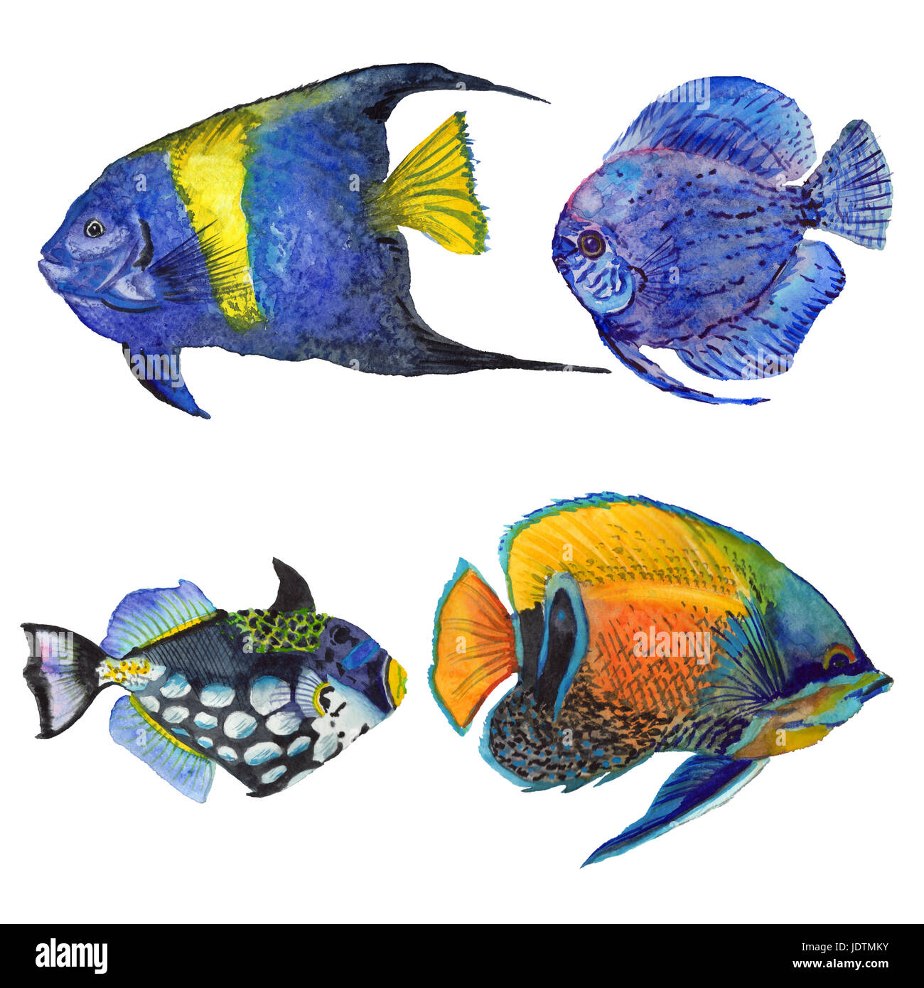 Watercolor aquatic underwater colorful tropical fish set. Red sea and ...