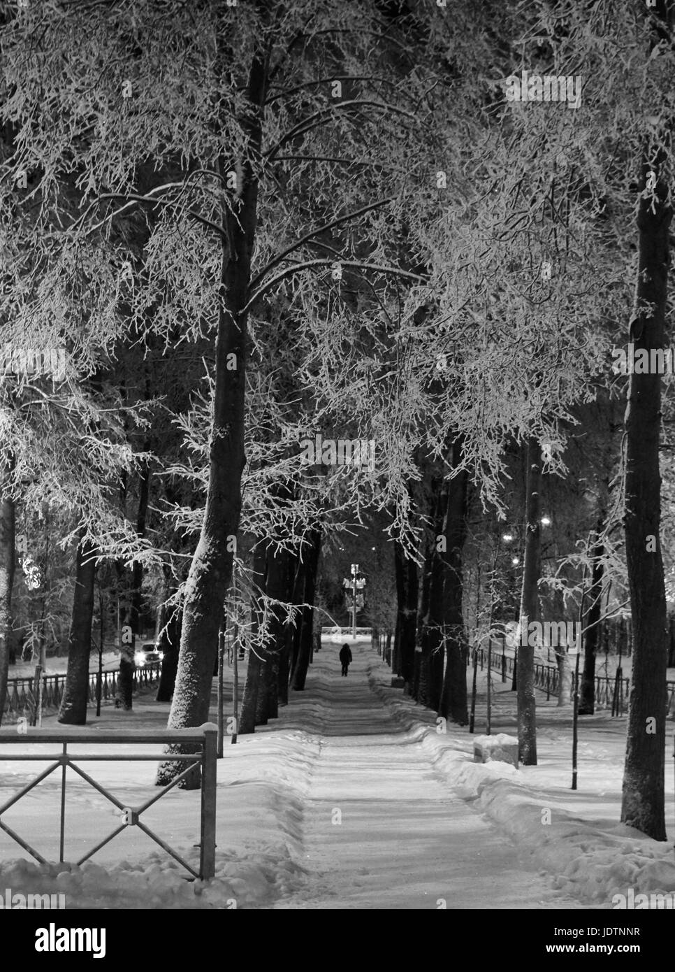 winter in park Stock Photo - Alamy