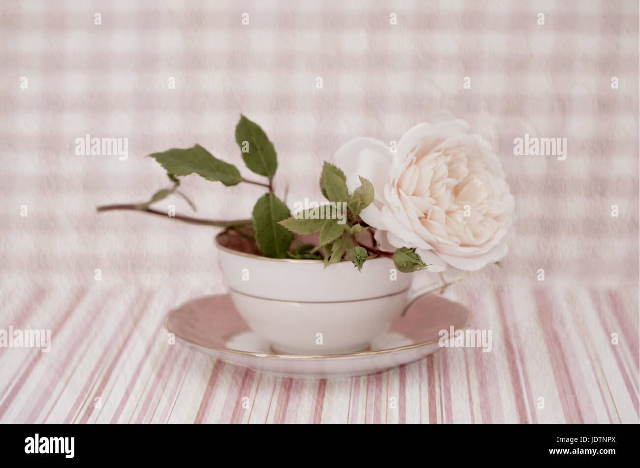 Rose and tea cup Stock Photo - Alamy
