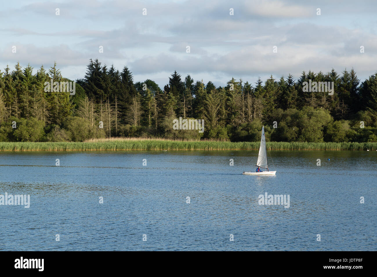 Forfar hi-res stock photography and images - Alamy