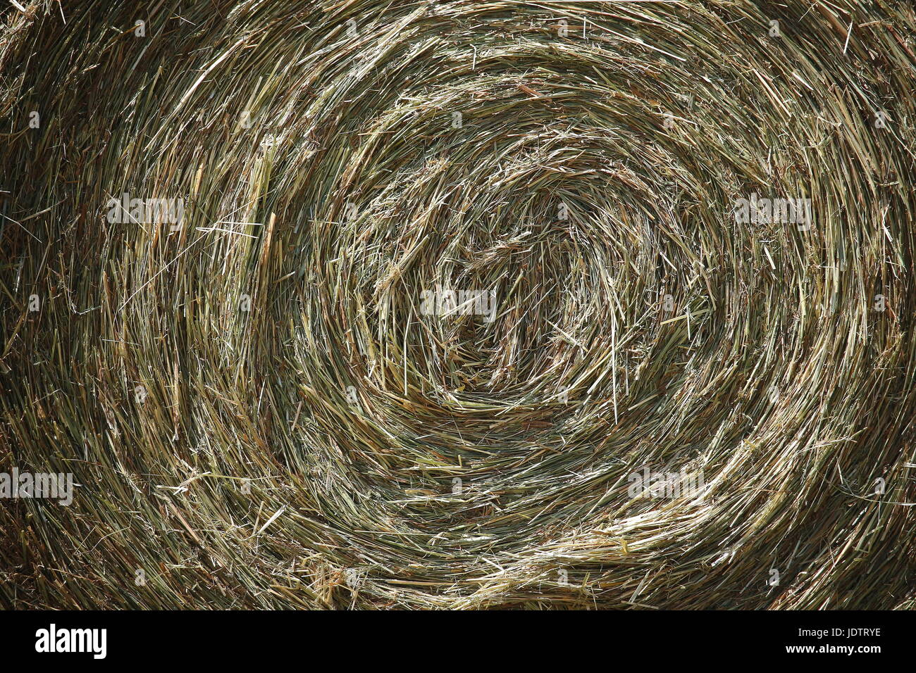 Agriculture round bales alfalfa hay hi-res stock photography and images ...