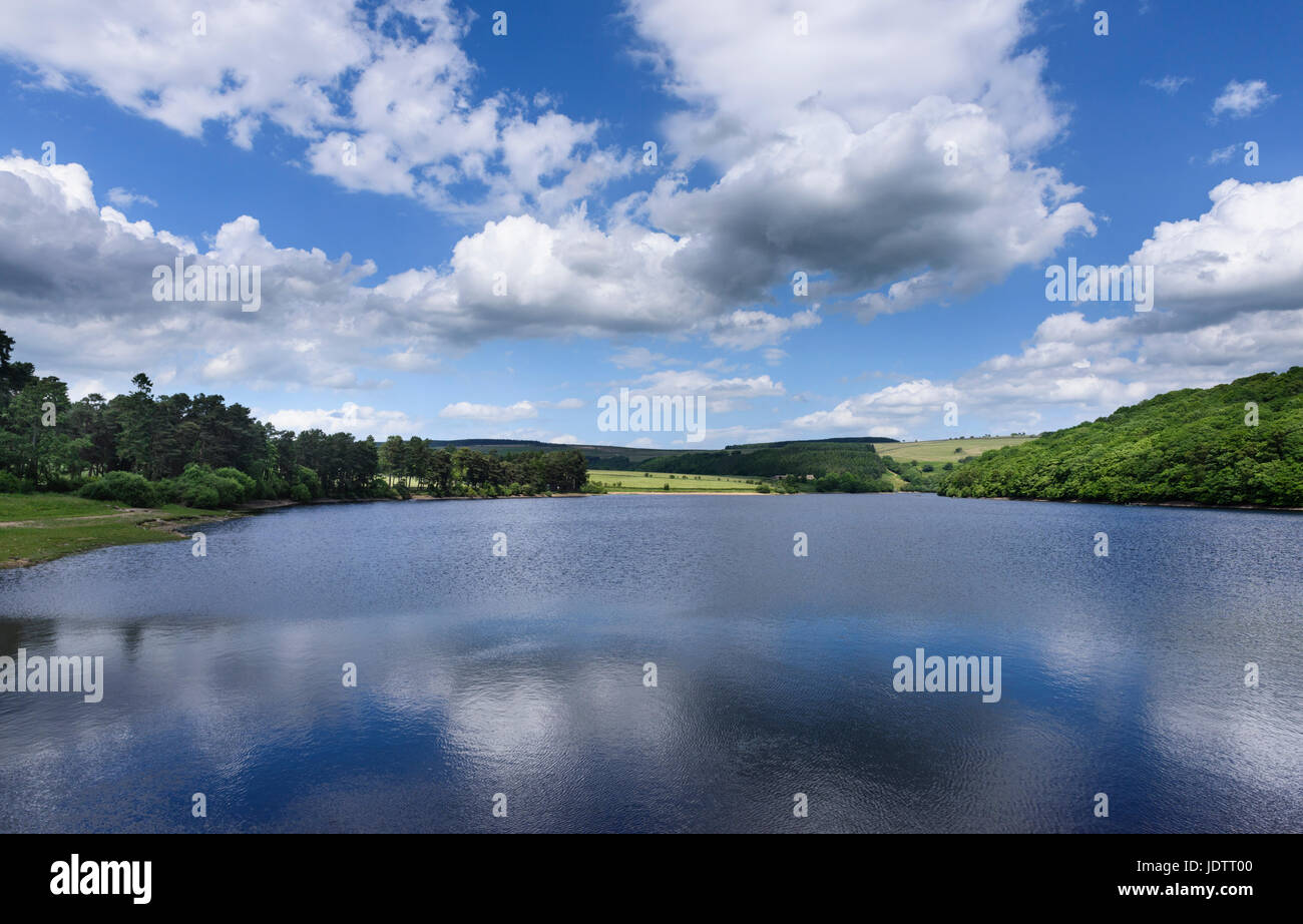 Tunstall Reservoir near Wolsingham County Durham Stock Photo - Alamy