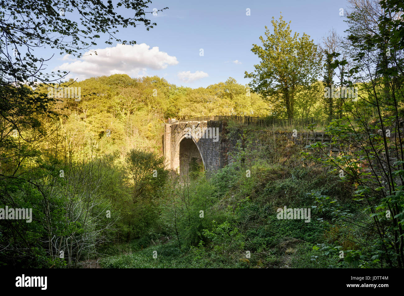Causey arch hi-res stock photography and images - Alamy