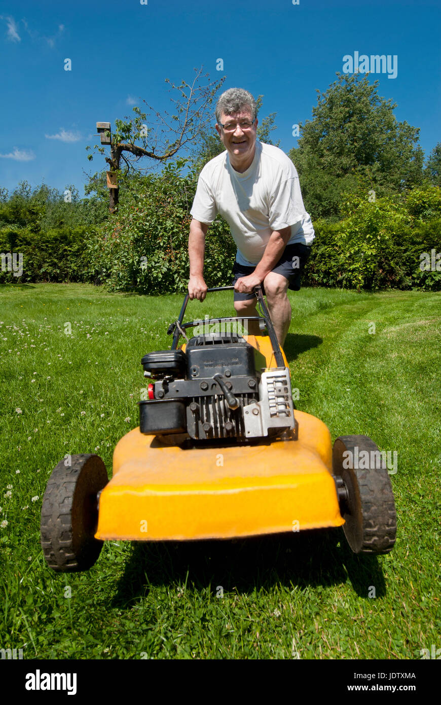 Vertical garden maintenance hi-res stock photography and images - Alamy