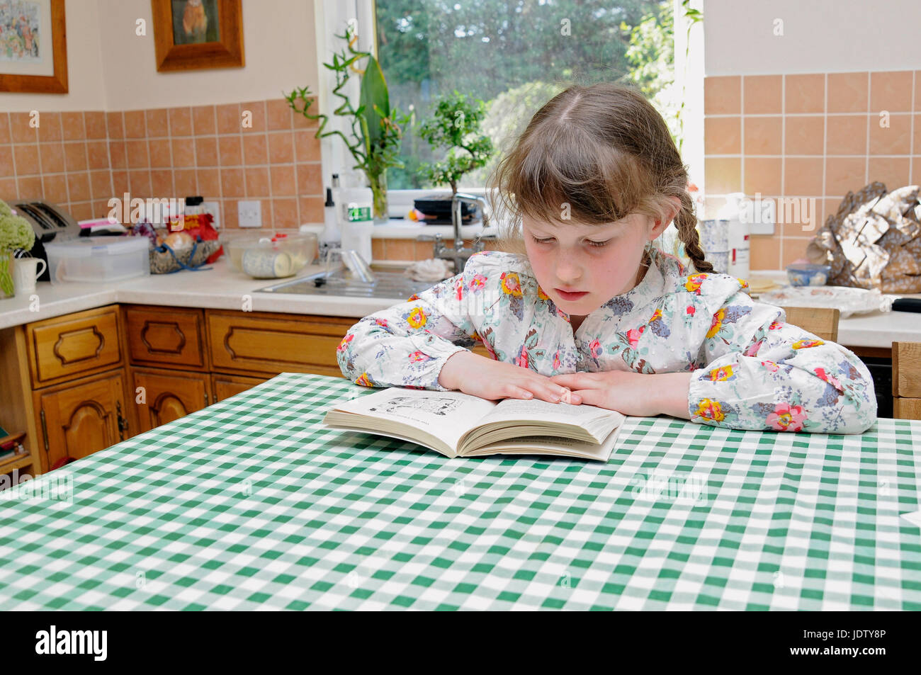 Kitchen knowledge hi-res stock photography and images - Alamy