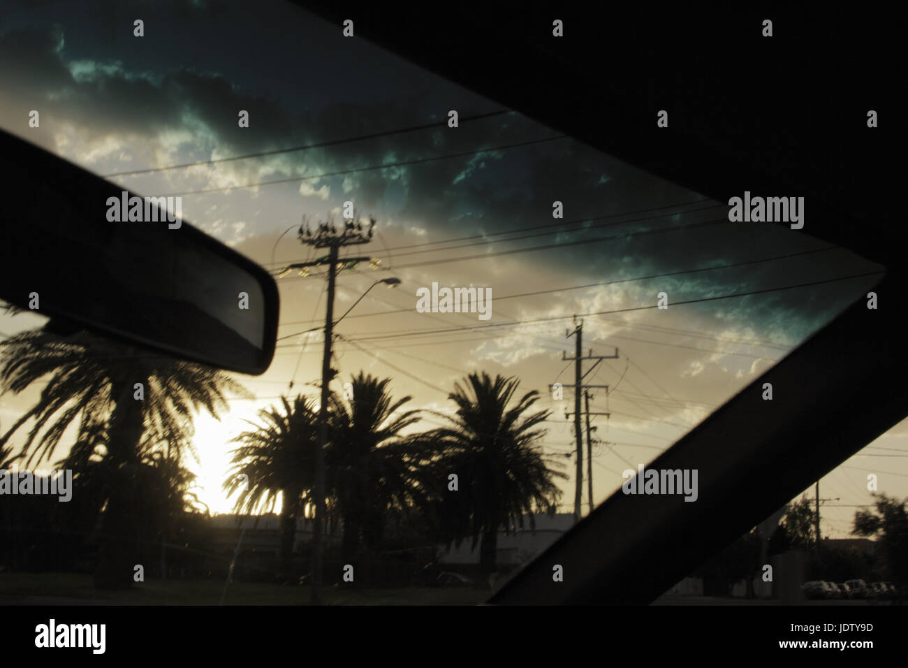 Palm trees and sky viewed from car Stock Photo - Alamy