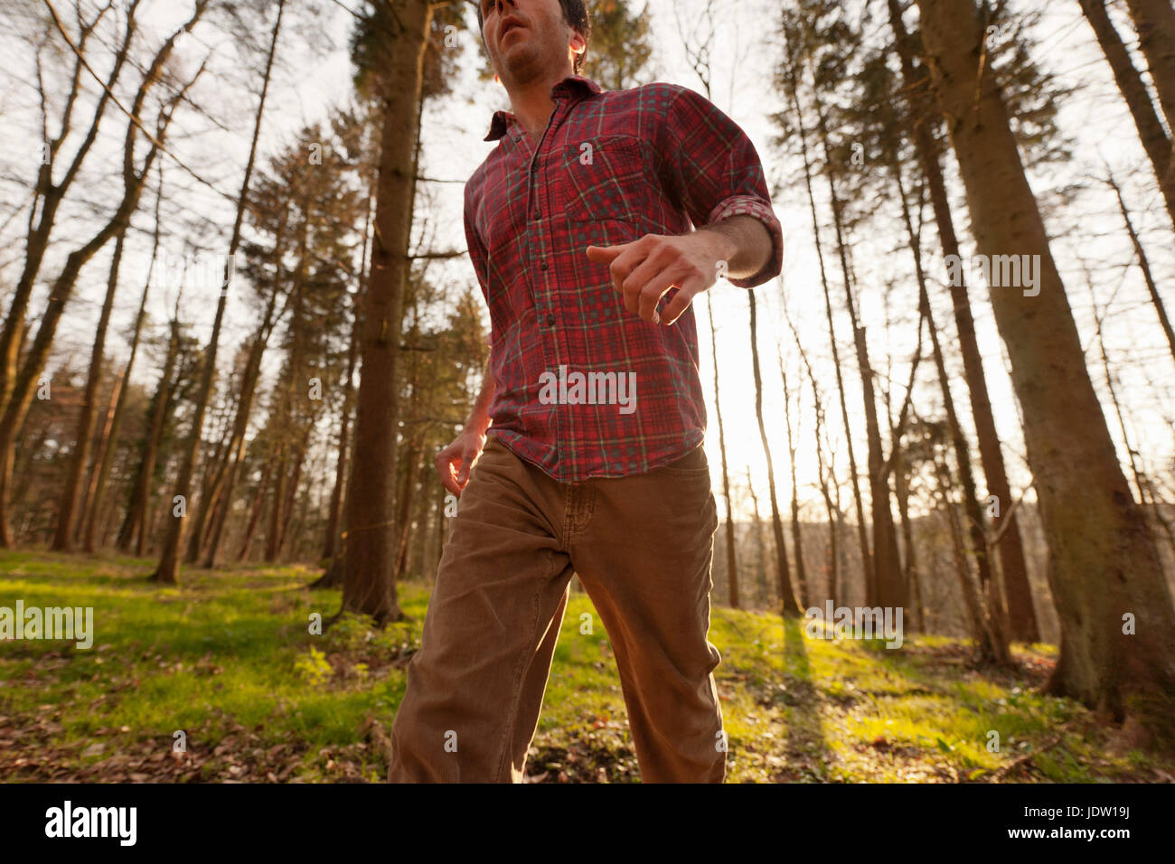 Man walking in forest Stock Photo - Alamy