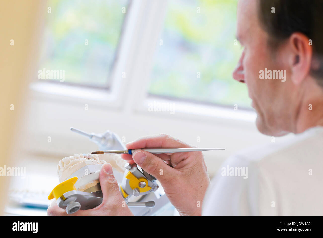 Dentist working on set of teeth Stock Photo - Alamy
