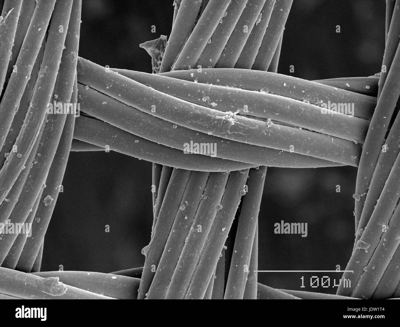 Mesh hi-res stock photography and images - Alamy