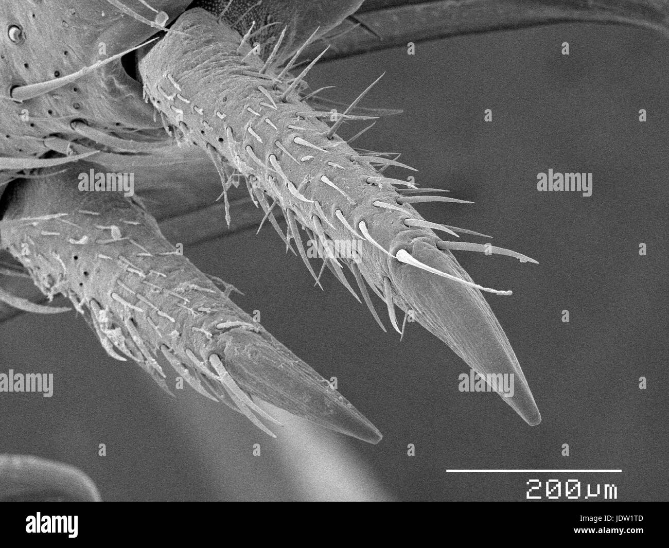 Electron microscope equipment Black and White Stock Photos & Images - Alamy