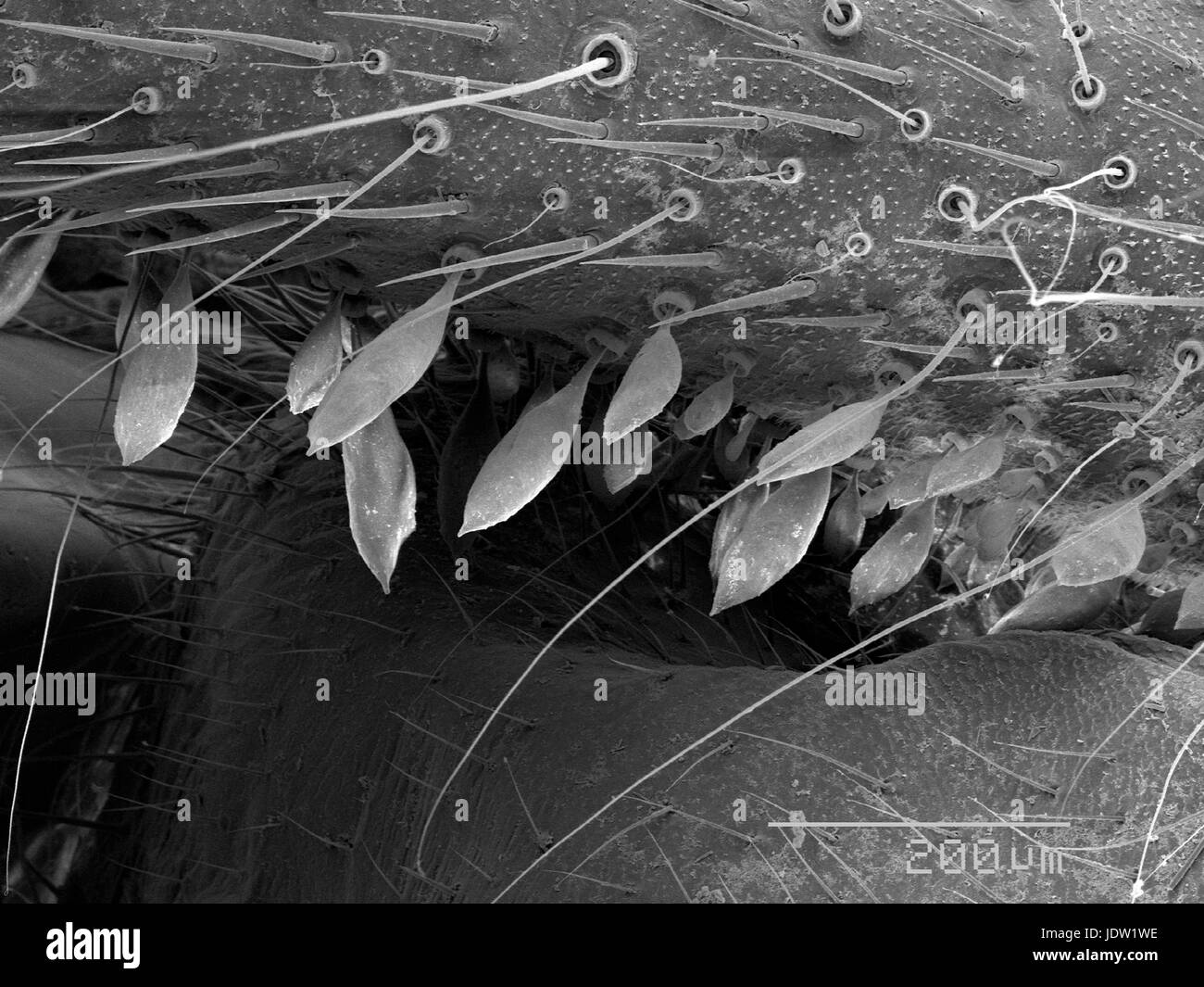 Close up view cave hi-res stock photography and images - Alamy