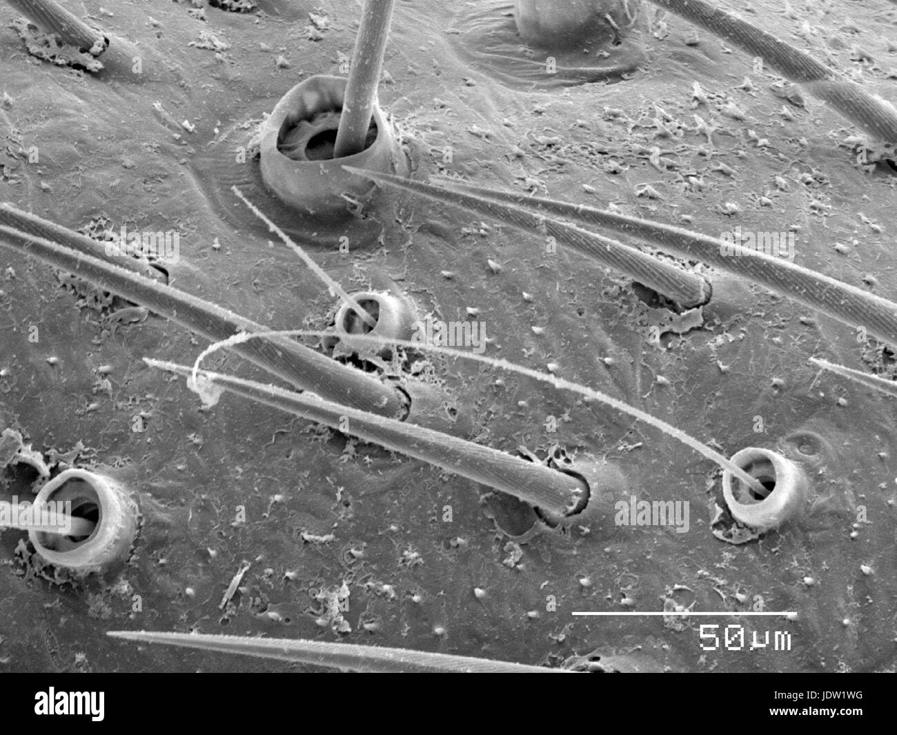 Close up view cave hi-res stock photography and images - Alamy