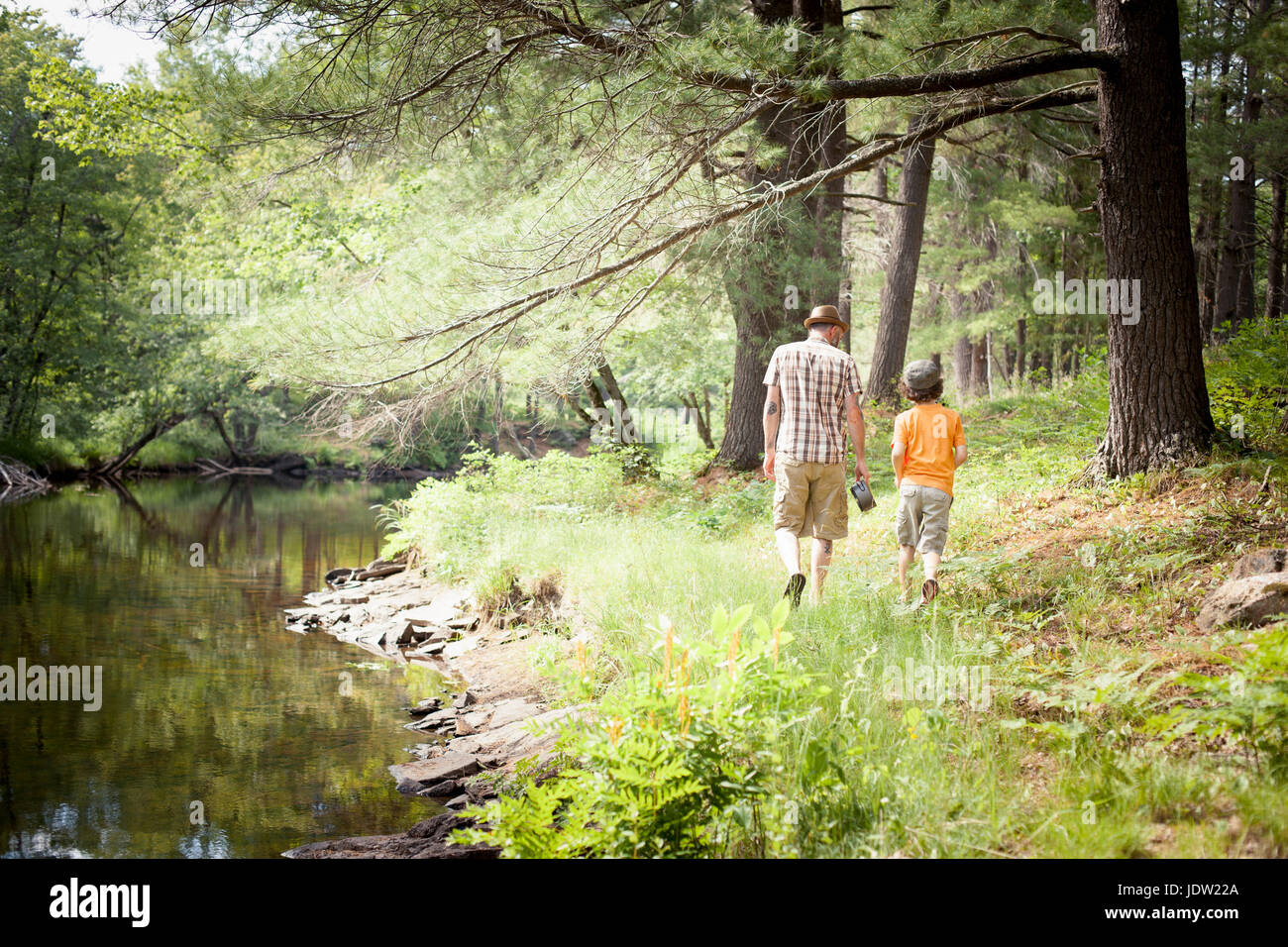 Father and son walking in forest Stock Photo - Alamy