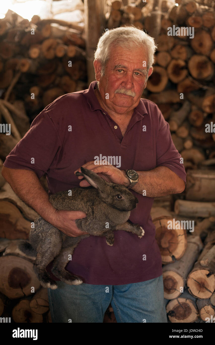 Older rabbit hi-res stock photography and images - Alamy