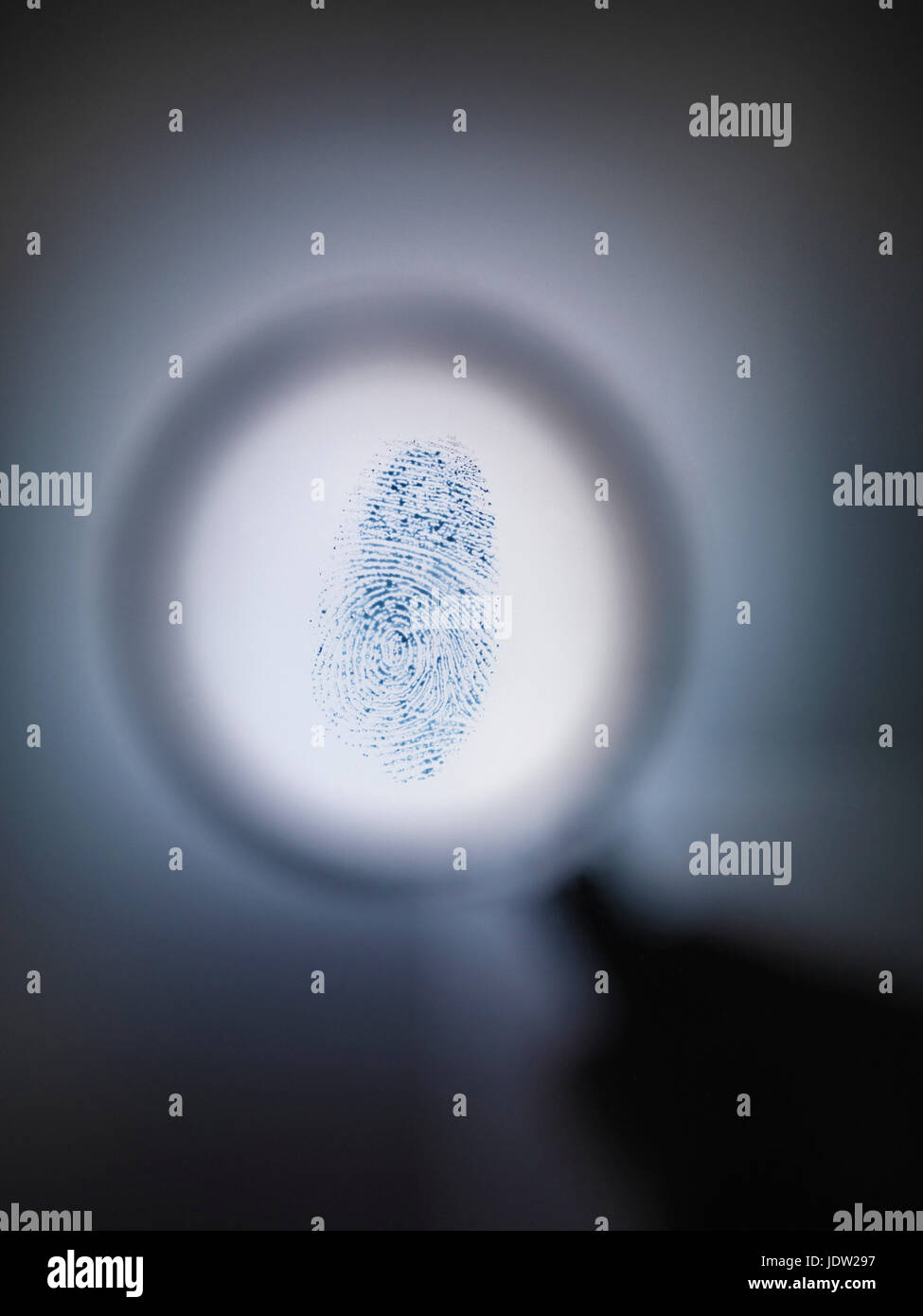 Under investigation magnifying glass hi-res stock photography and ...