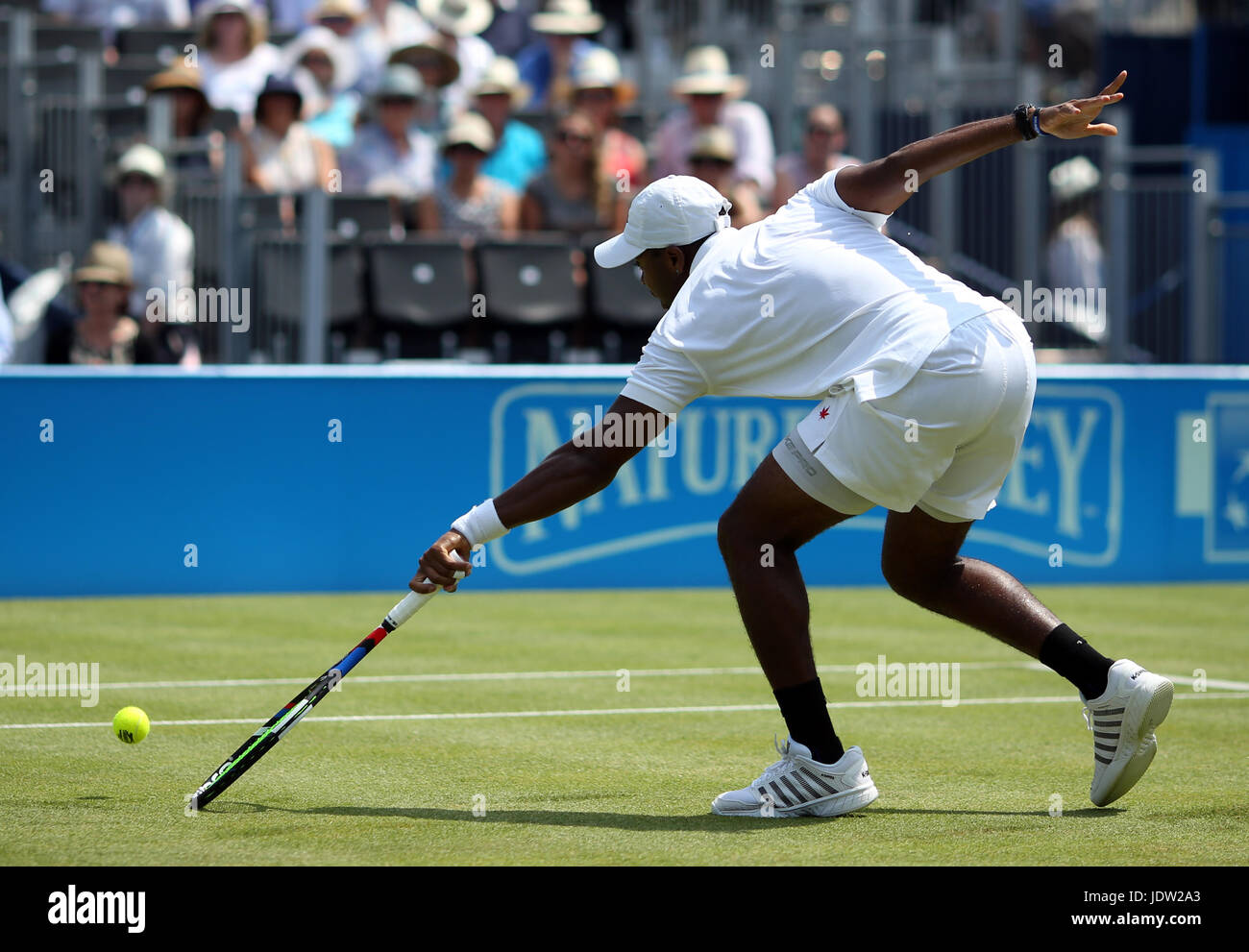 USA's Donald Young during day three of the 2017 AEGON Championships at ...