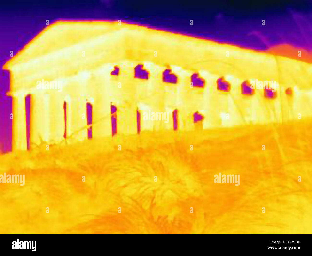 Columned hi-res stock photography and images - Alamy