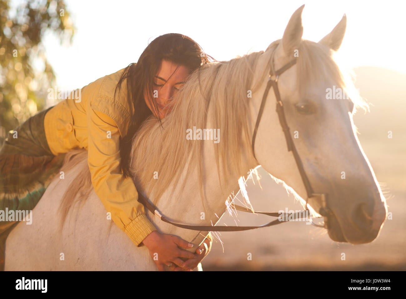 Person hugging with horse hi-res stock photography and images - Alamy