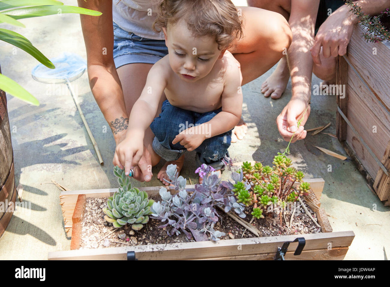 Boy pointing at plants in container on patio Stock Photo - Alamy