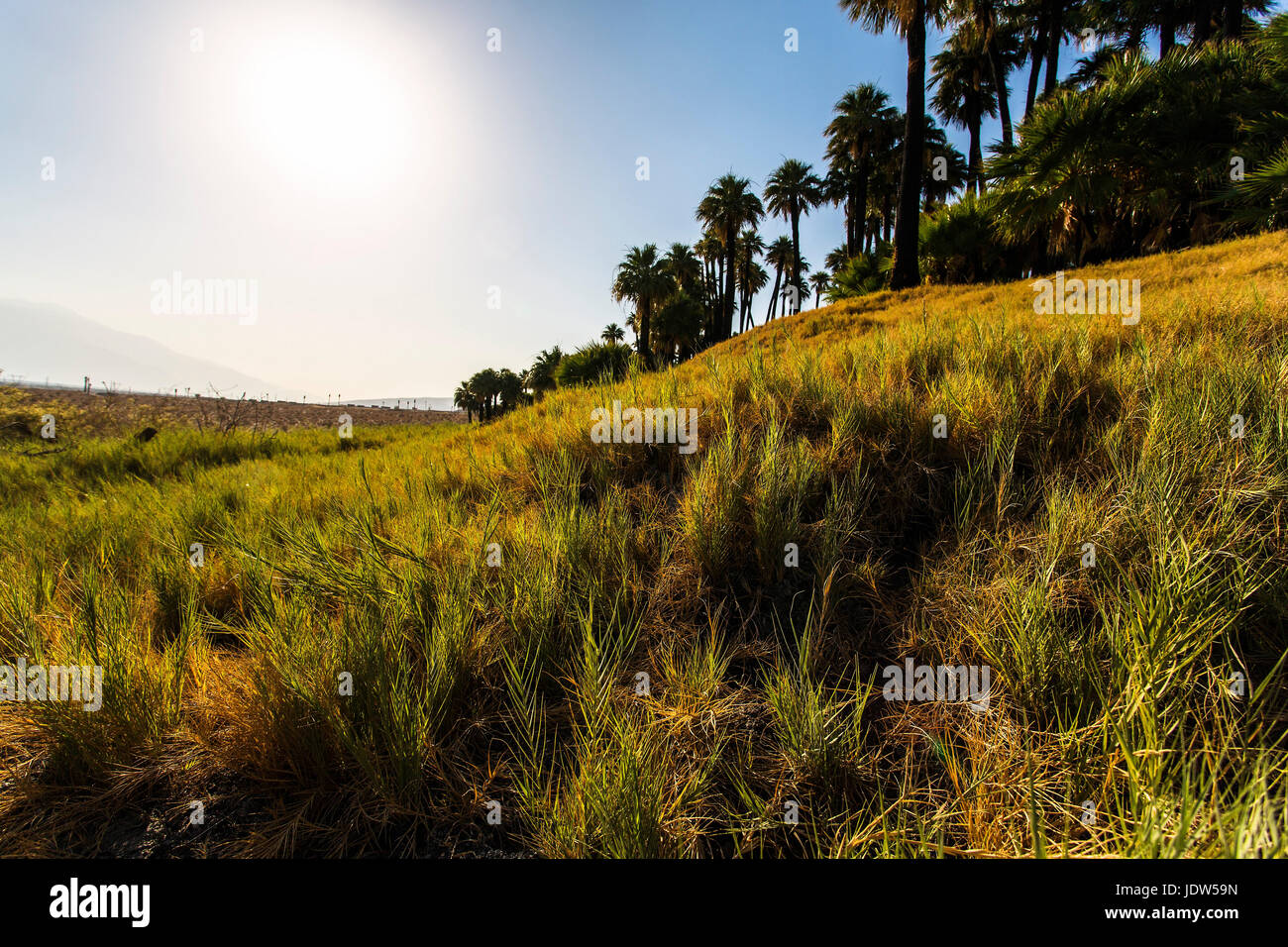 Rural scene, Big Island, Hawaii, USA Stock Photo - Alamy