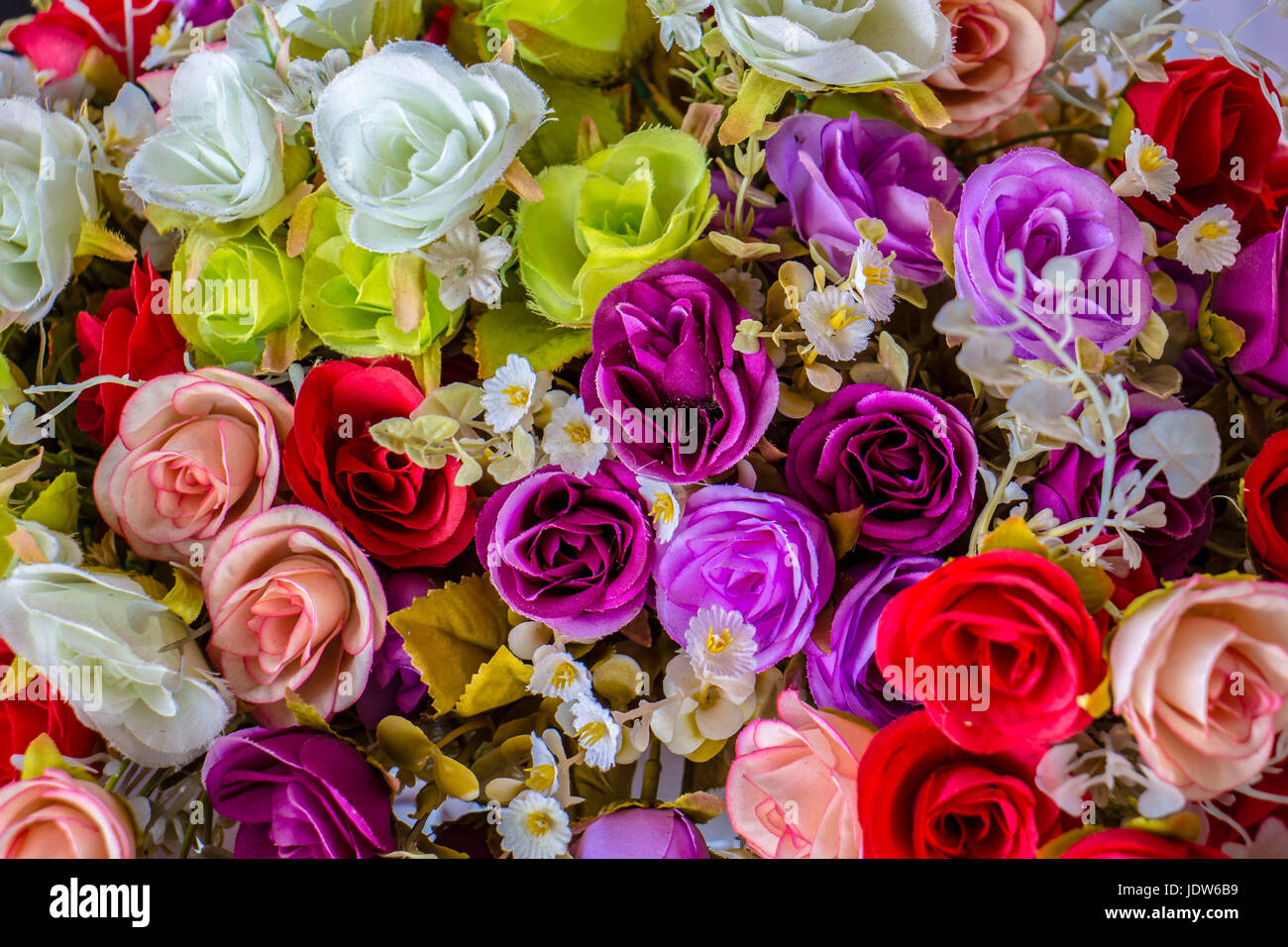 colorful Roses Background Stock Photo - Alamy