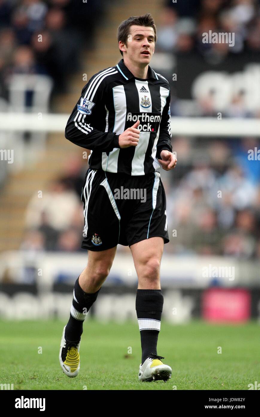 JOEY BARTON NEWCASTLE UNITED FC ST JAMES PARK NEWCASTLE ENGLAND 03 ...