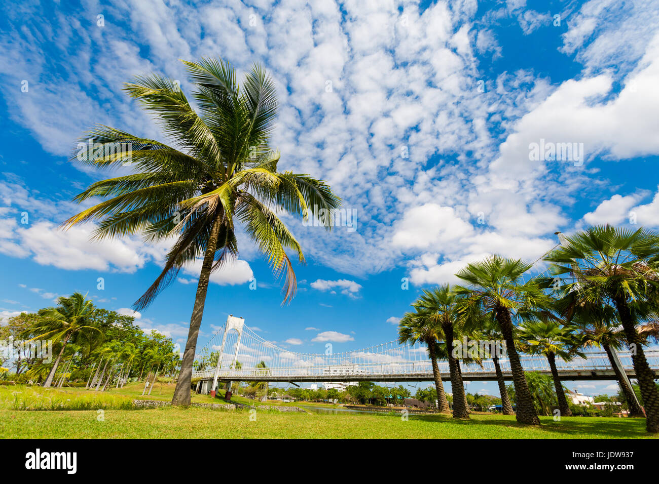 Beautiful view taken in Udon Thani park in northern Thailand. Cityscape ...