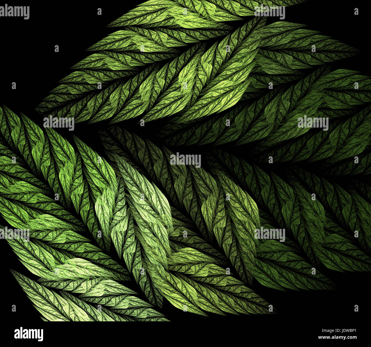 Fern. An abstract fractal pattern in green color on the black ...