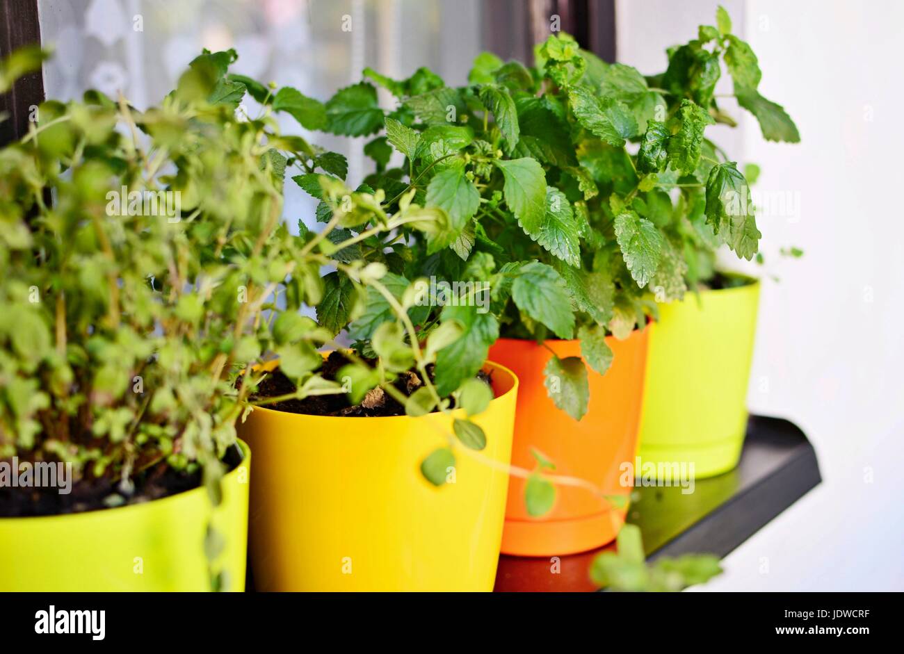 Decorative pots hi-res stock photography and images - Alamy
