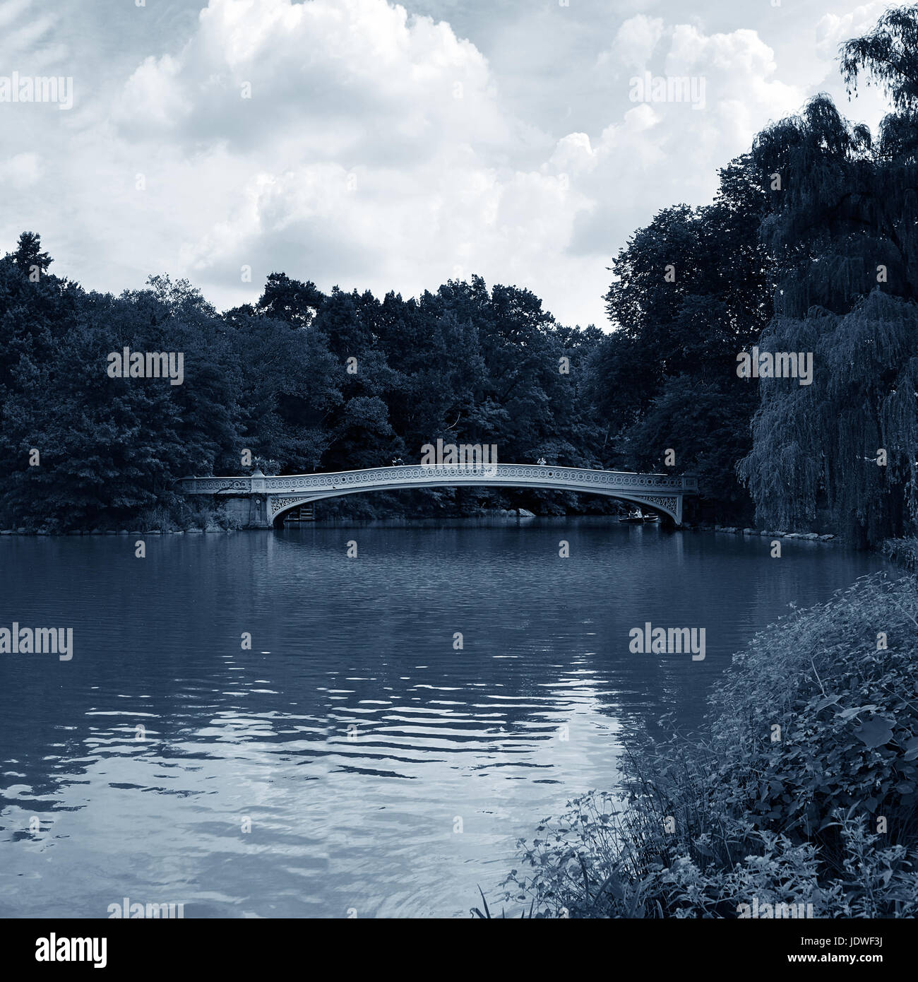 Central Park Spring in midtown Manhattan New York City Stock Photo - Alamy