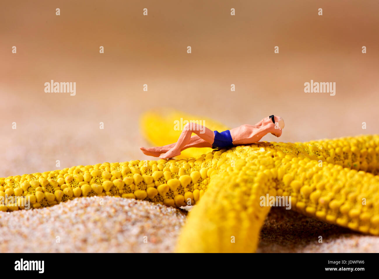 a miniature man wearing swimsuit relaxing on a yellow starfish, on the ...