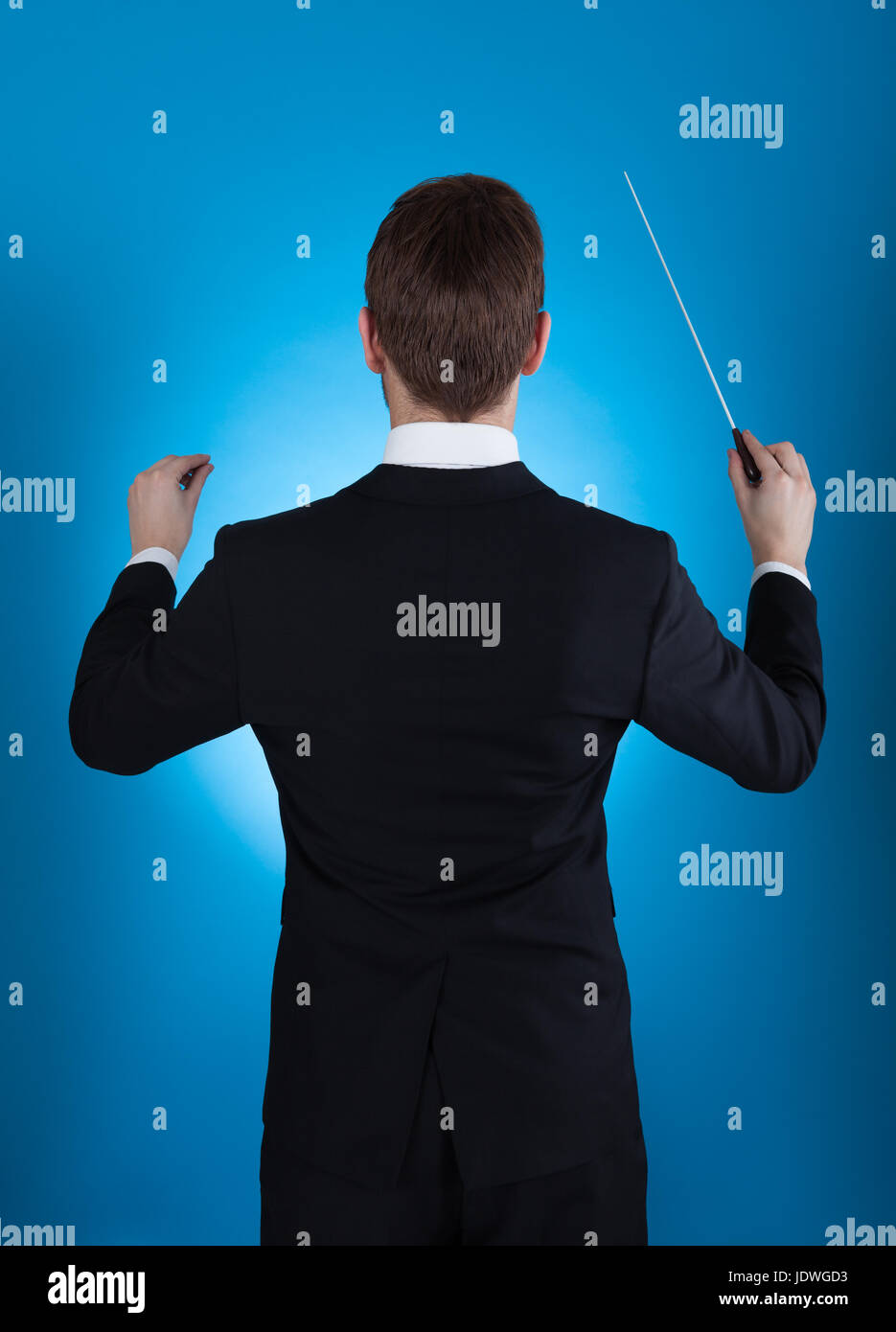 Rear view of orchestra conductor holding baton against blue background ...