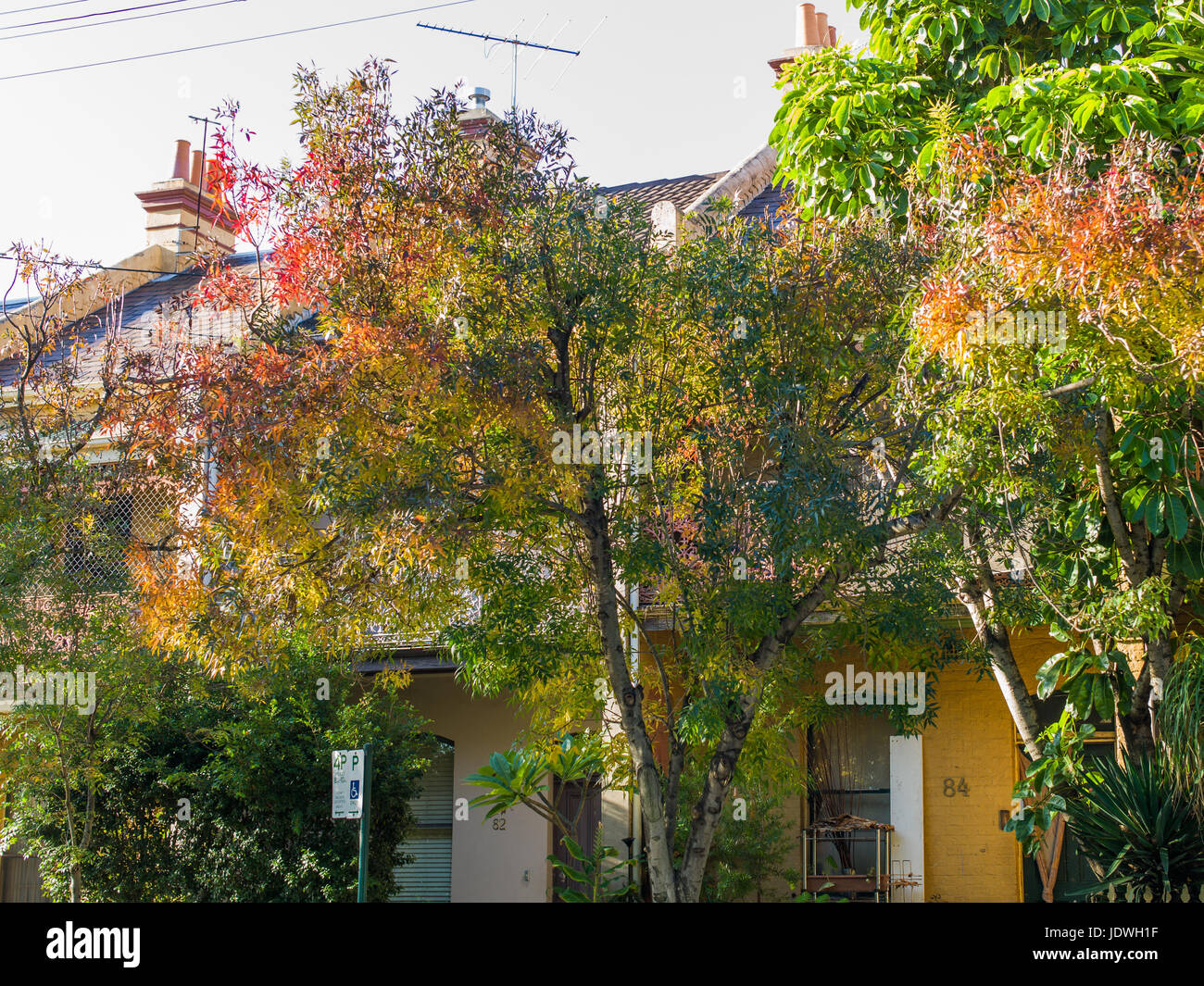 Glebe sydney hi-res stock photography and images - Alamy