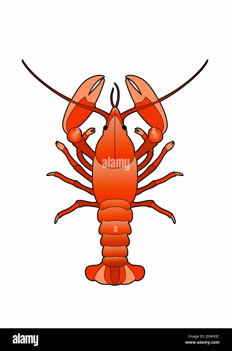 Vector illustration of a crustacean, file EPS 10 Stock Photo - Alamy