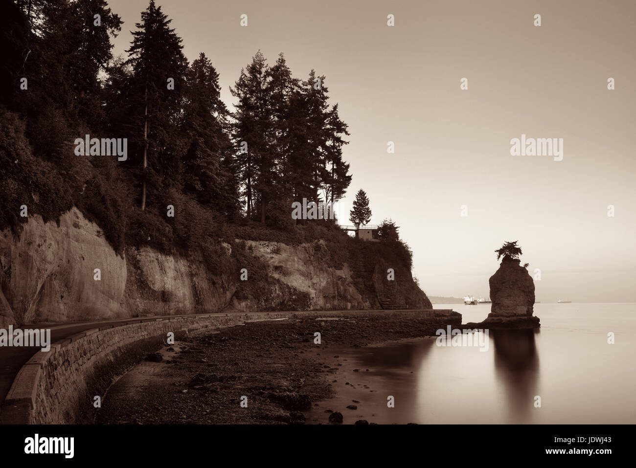 Sunrise in stanley park vancouver hi-res stock photography and images ...