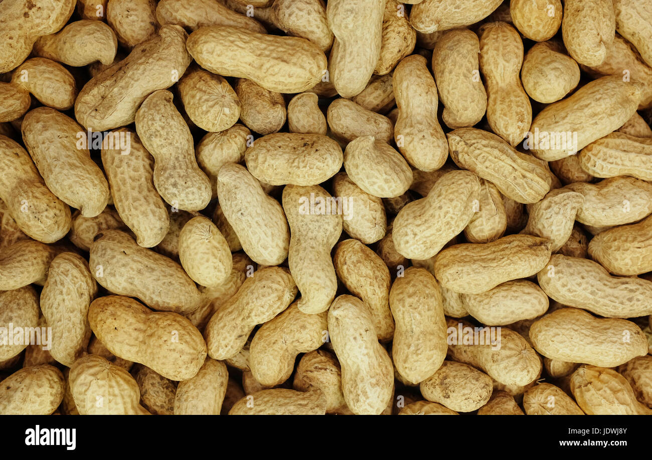 Monkey nuts, peanuts or groundnuts in shells as an abstract background ...