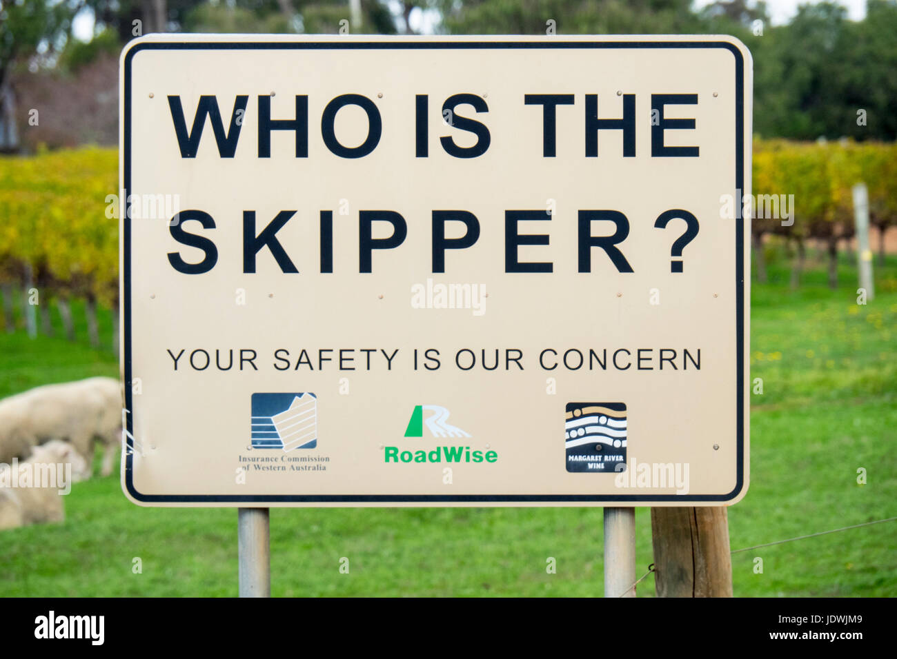 Designated driver hi-res stock photography and images - Alamy