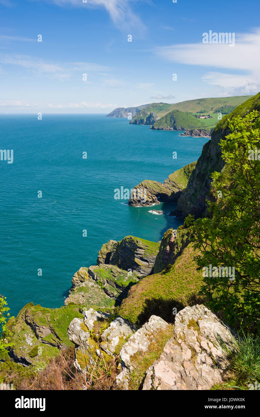 The North Devon coast in Exmoor National Park, England overlooking Woody Bay with Foreland Point ...