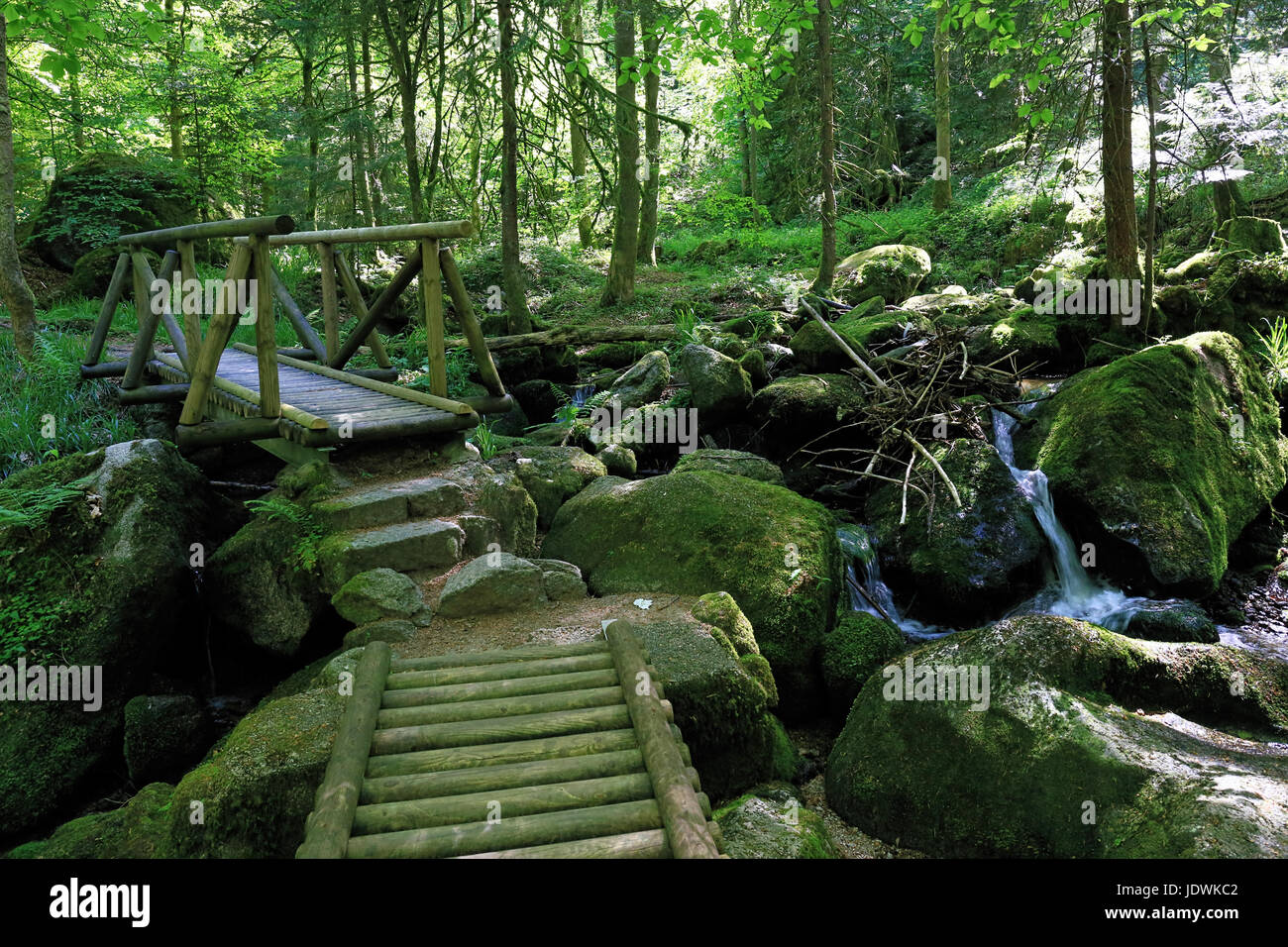 Beautiful Black Forest hiking trail through the woods of Gertelbach in ...
