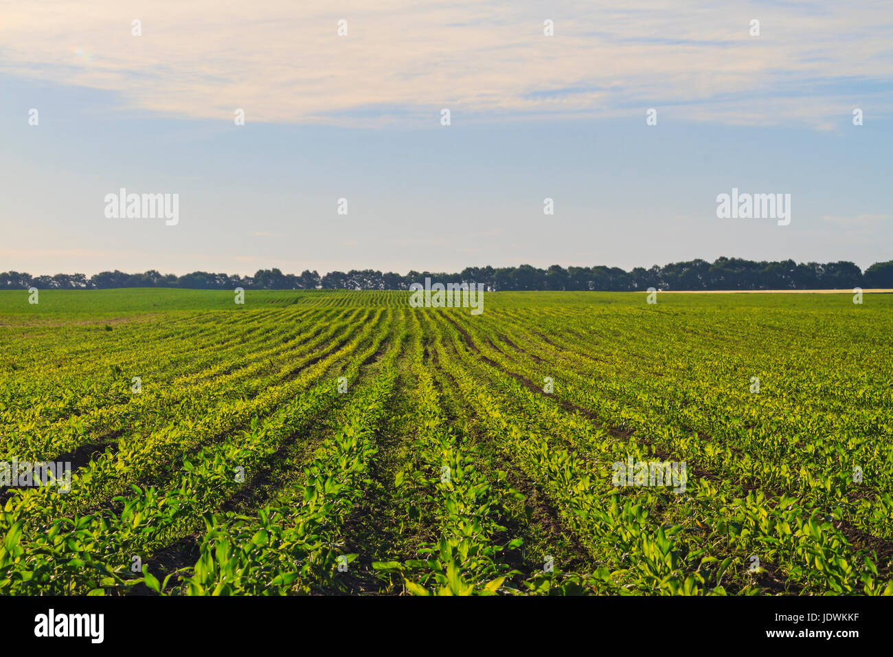 Popcorn cloud hi-res stock photography and images - Alamy