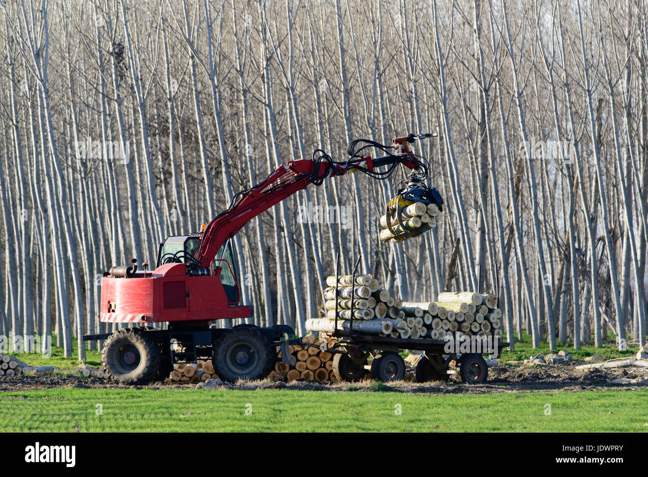 Forestry harvester hi-res stock photography and images - Alamy