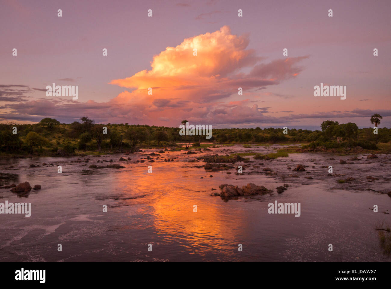 The Ruaha River at sunset Stock Photo - Alamy