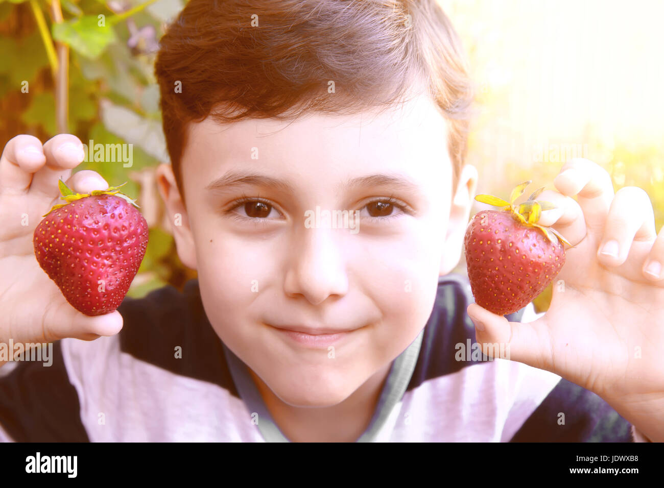 Cute boy child holding fresh picked strawberries.Cute boy child eating ...