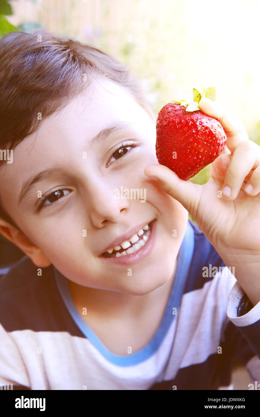 Cute boy child holding fresh picked strawberries.Cute boy child eating ...